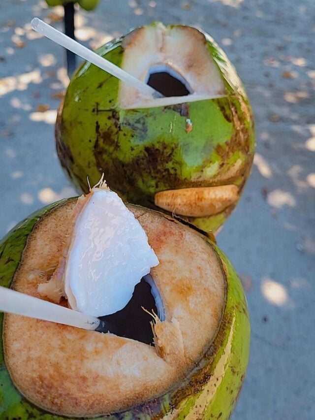 5 benefícios da água de coco que você precisa conhecer já